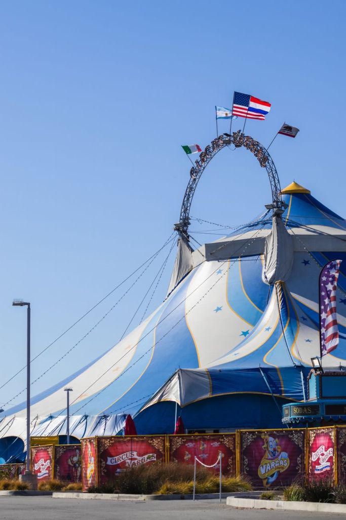 Circus – Haiku a Day